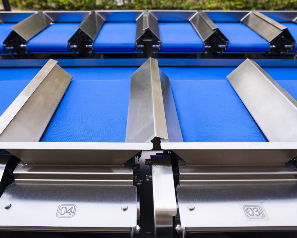 12 Head Linear Combination Weigher - Easyweigh