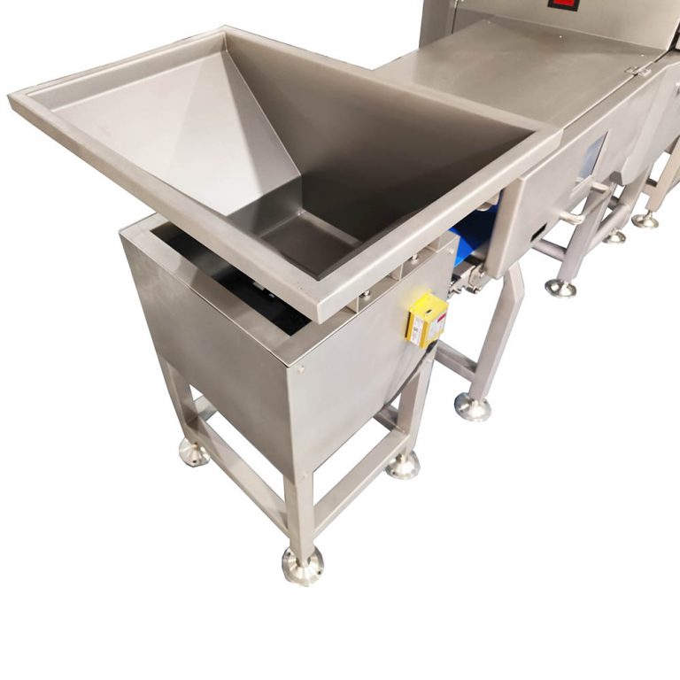 Foodman Food X-Ray Inspection System for Unpackaged Bulk Products ...