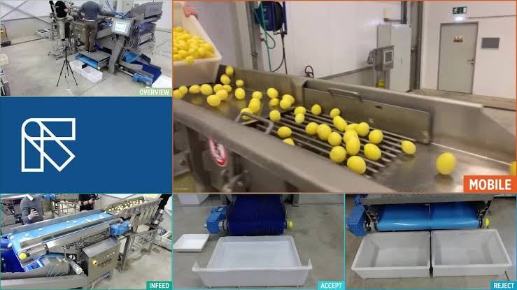 The Comprehensive Guide to Weight Sorting Machines | Easyweigh