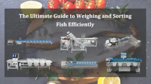 The Ultimate Guide to Weighing and Sorting Fish Efficiently | Easyweigh