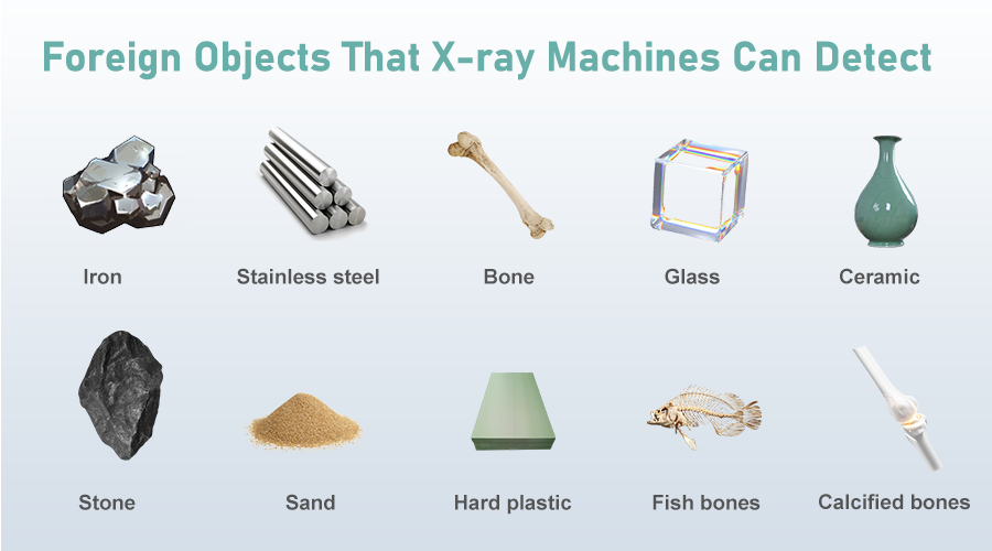 From Farm to Fork: How X-Ray Inspection Systems are Revolutionizing ...