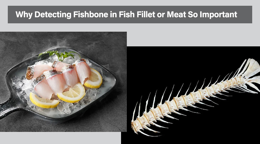 Enhancing Food Safety: The Power of Foodman’s X-Ray Inspection System ...