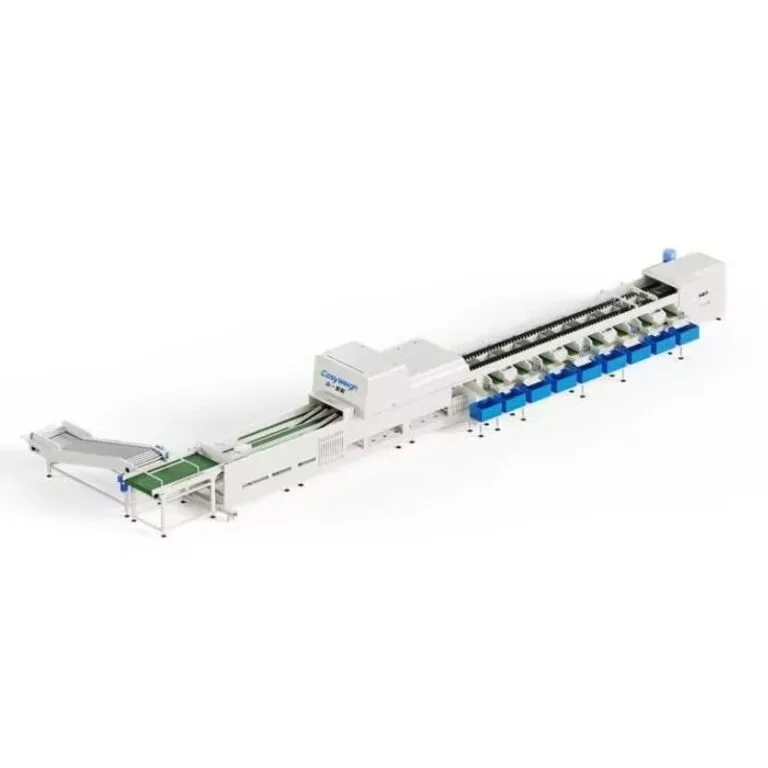 Fruit and Vegetable Optical Sorting System | Easyweigh