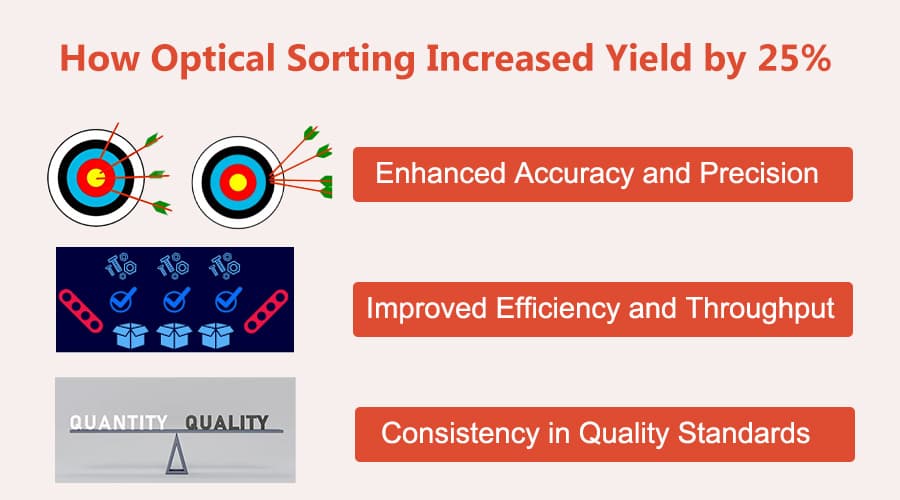 Case Study: Optical Sorting in Tomato Processing Boosts Yield by 25% ...