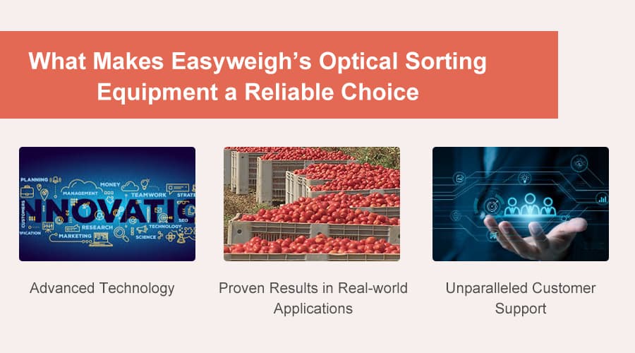 Case Study: Optical Sorting in Tomato Processing Boosts Yield by 25% ...