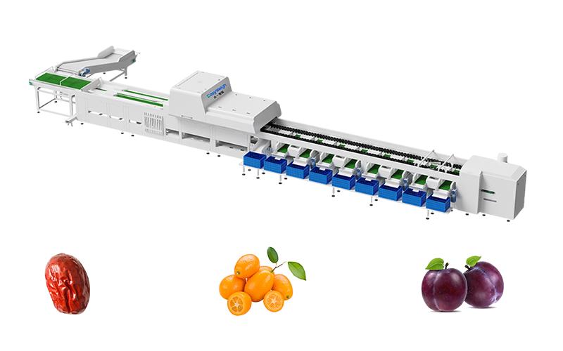 Fruit And Vegetables Sorting System | Vision Inspection | Easyweigh