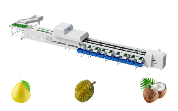 Fruit And Vegetables Sorting System | Vision Inspection | Easyweigh
