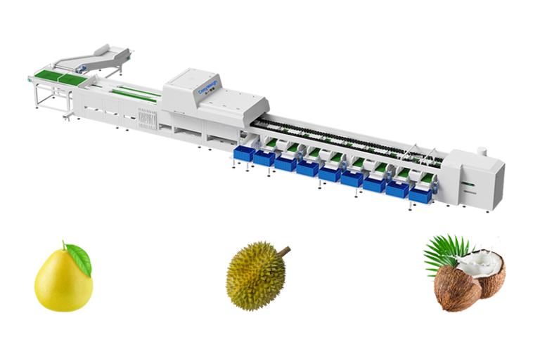 Fruit And Vegetables Sorting System | Vision Inspection | Easyweigh