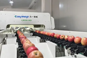 Fruit And Vegetables Sorting System | Vision Inspection | Easyweigh