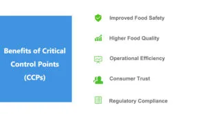 What Is Critical Control Point in HACCP? | Easyweigh