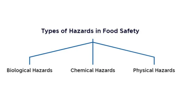 Why Is Food Safety Important? | Easyweigh